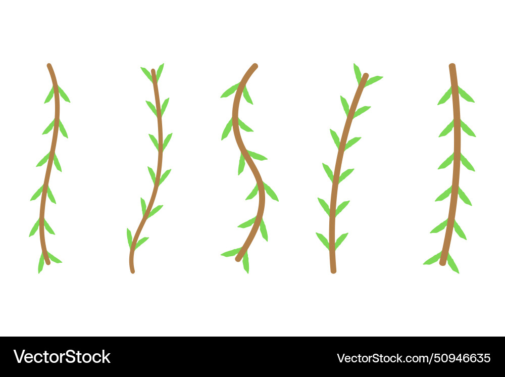 Flower vine icon set botanical decoration Vector Image