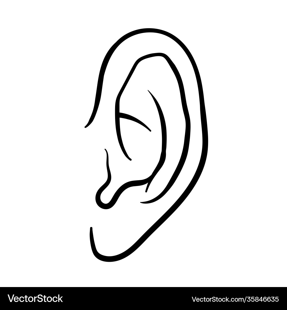 Hand drawn ear sketch symbol listen Royalty Free Vector