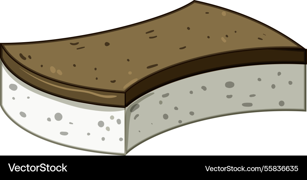 Plantbased biodegradable kitchen sponge cartoon Vector Image