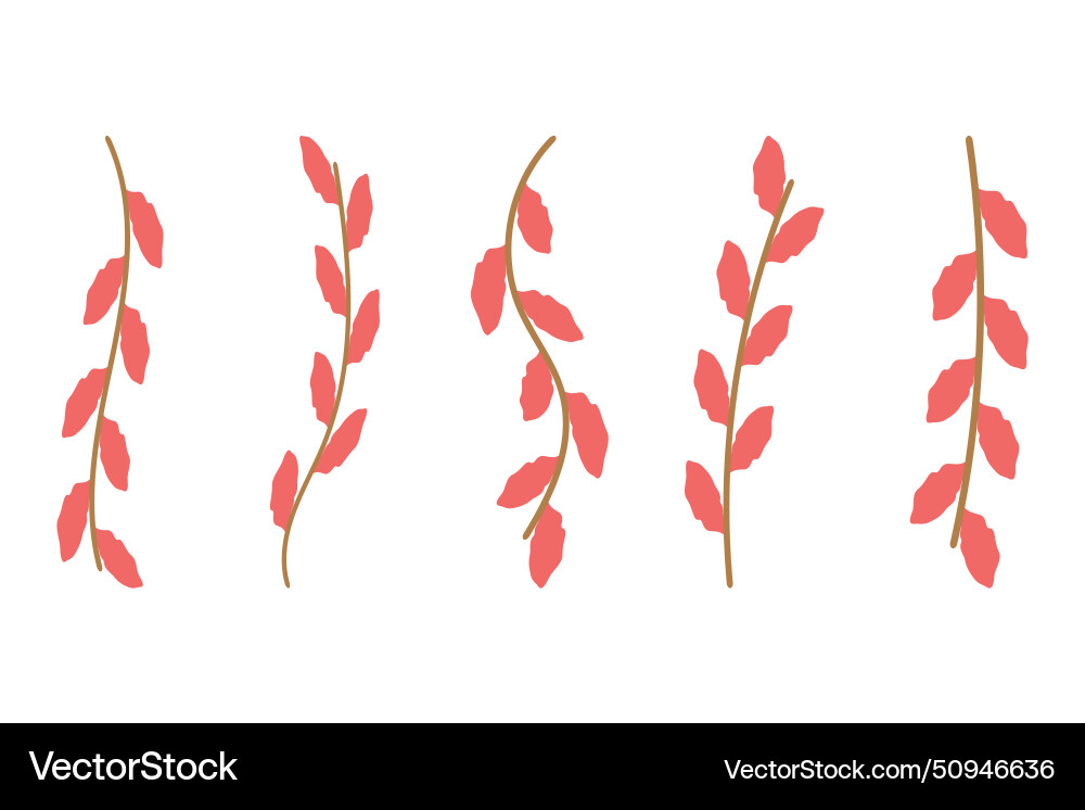 Flower vine icon set botanical decoration Vector Image