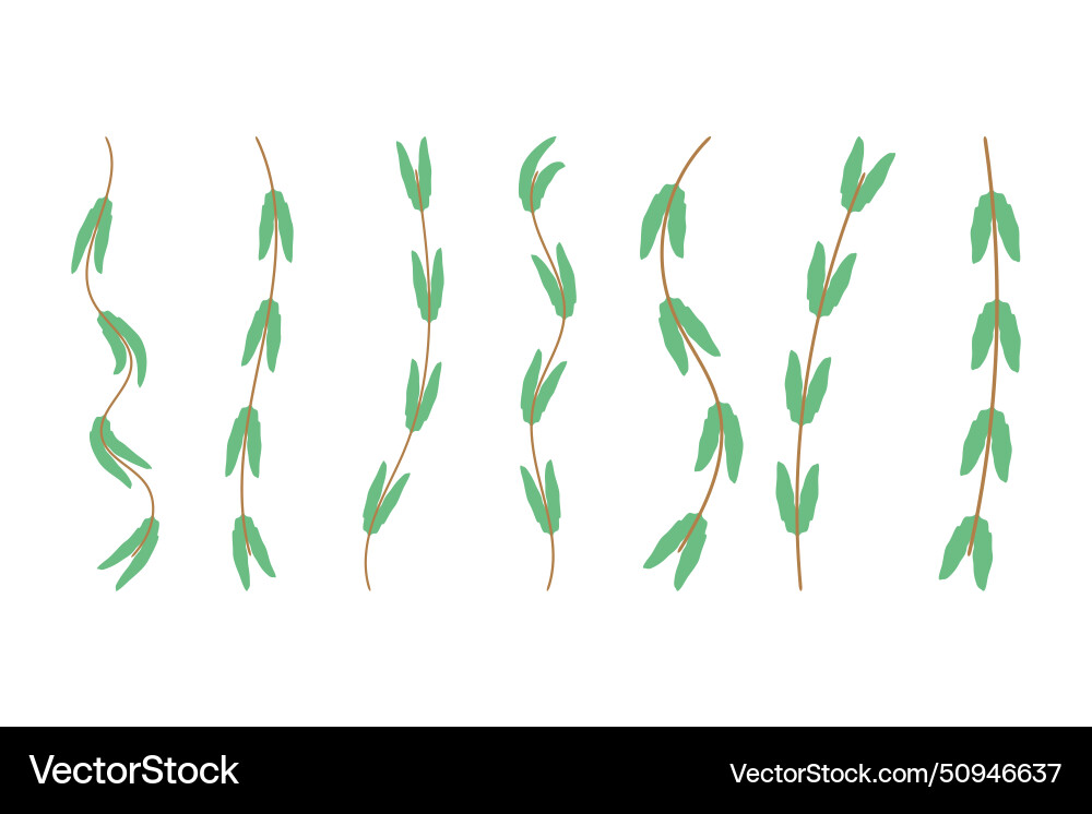 Flower vine icon set botanical decoration Vector Image