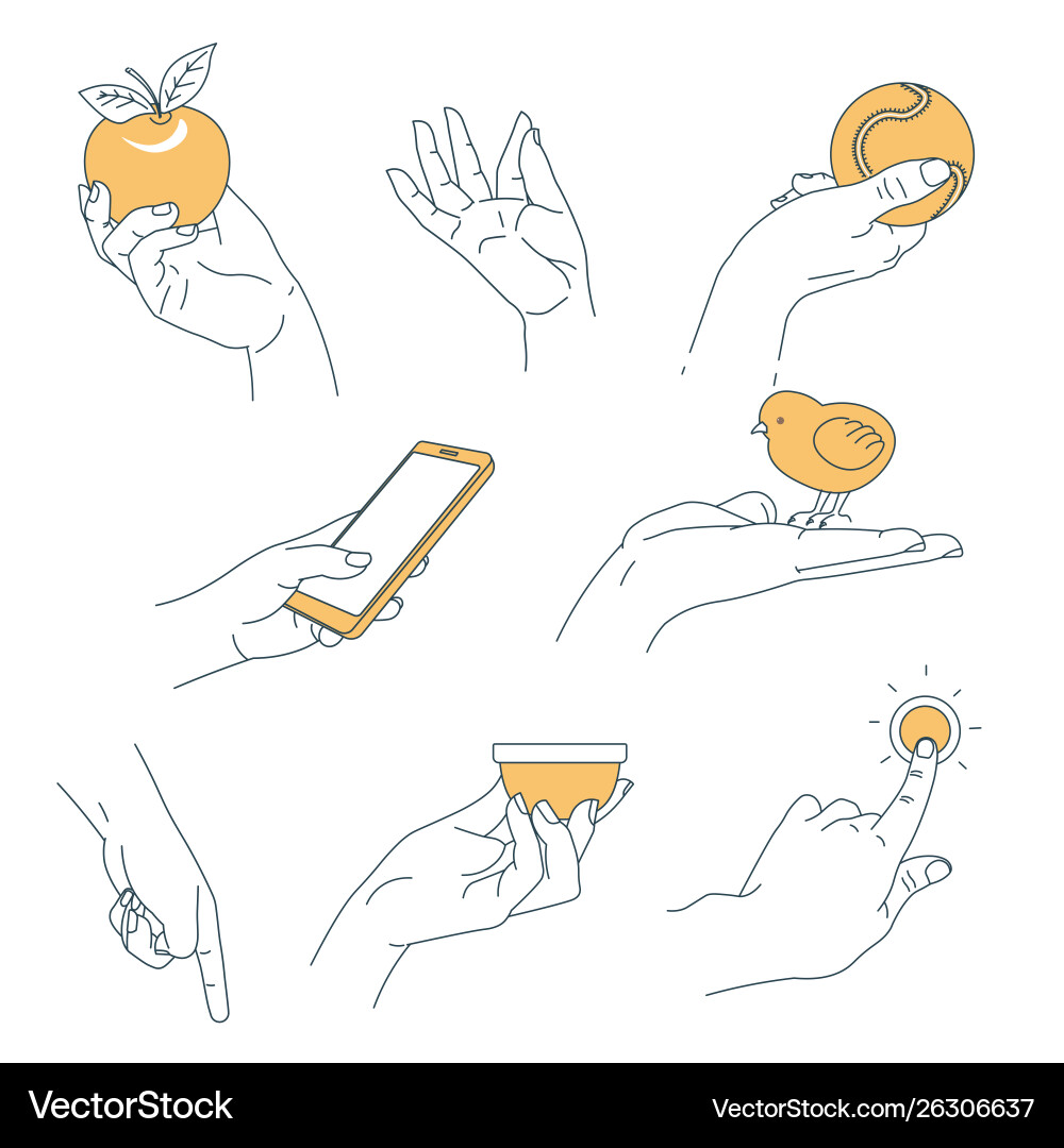 Hand human palm holding objects isolated body part