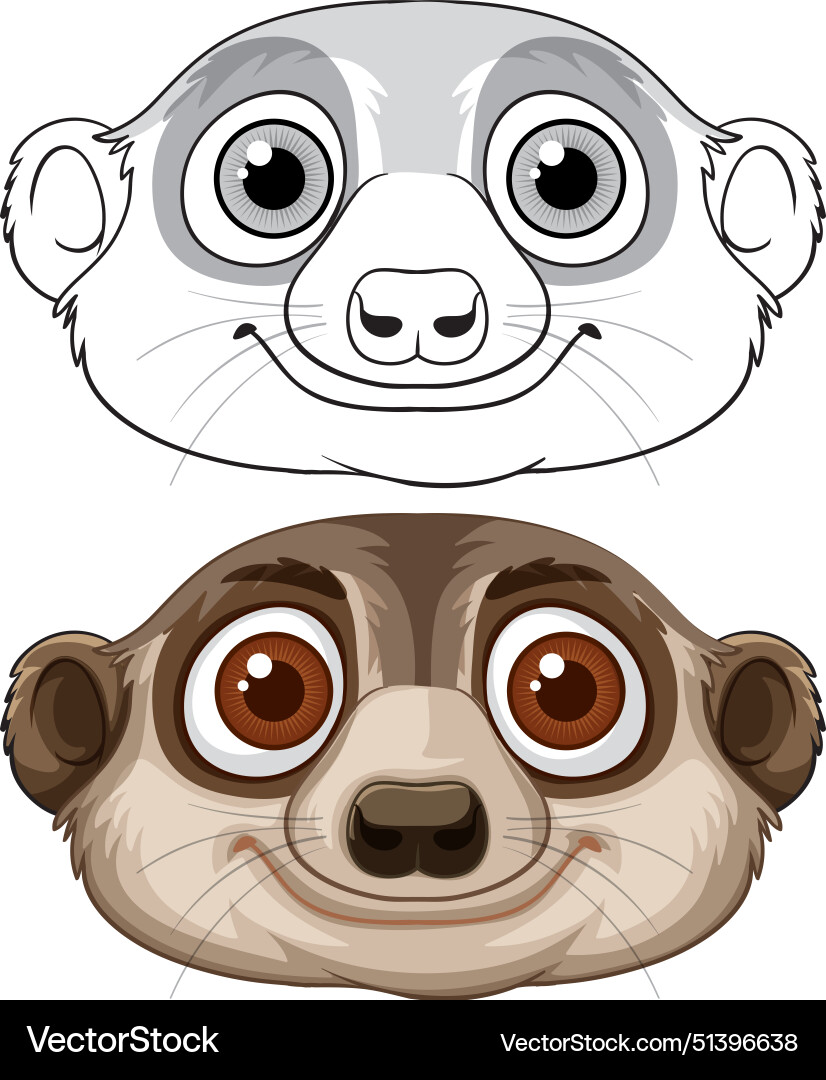 Two adorable meerkat faces colored and outlined Vector Image