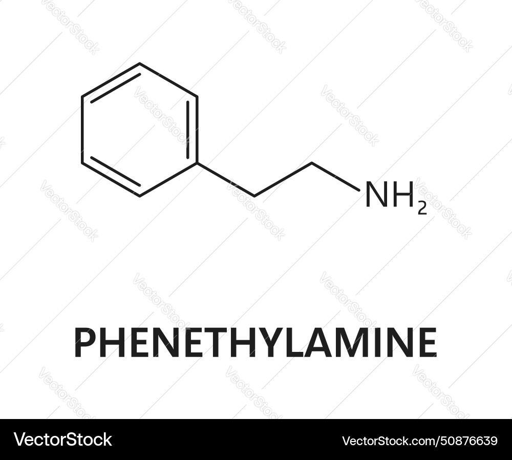 Phenethylamine chemical formula organic compound Vector Image