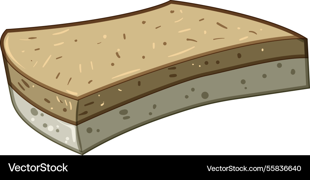 Ecofriendly biodegradable kitchen sponge cartoon Vector Image