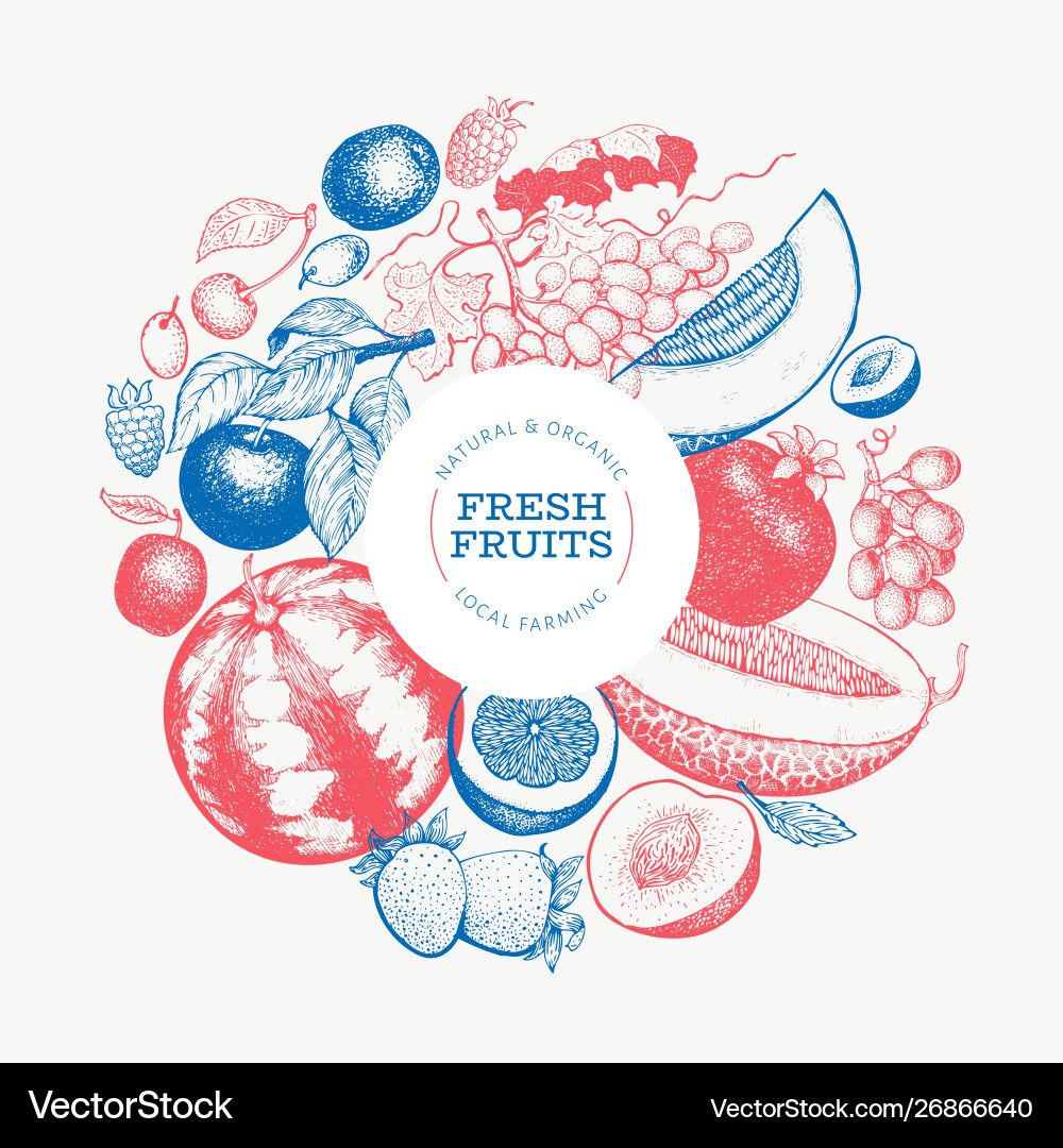 Fruits and berries design template hand drawn Vector Image