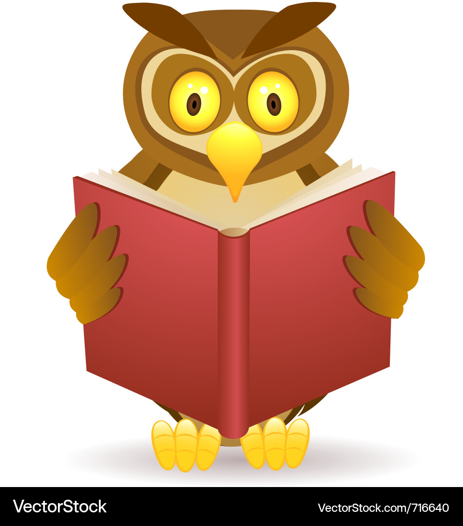 Owl reading book Royalty Free Vector Image - VectorStock