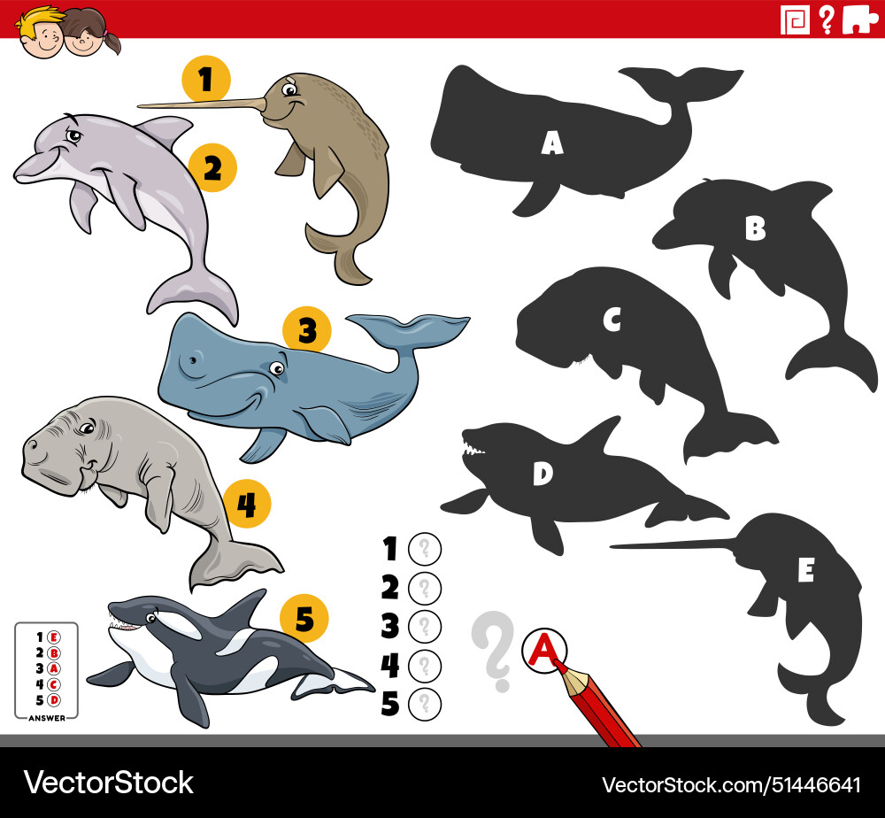 Finding shadows activity with cartoon marine Vector Image