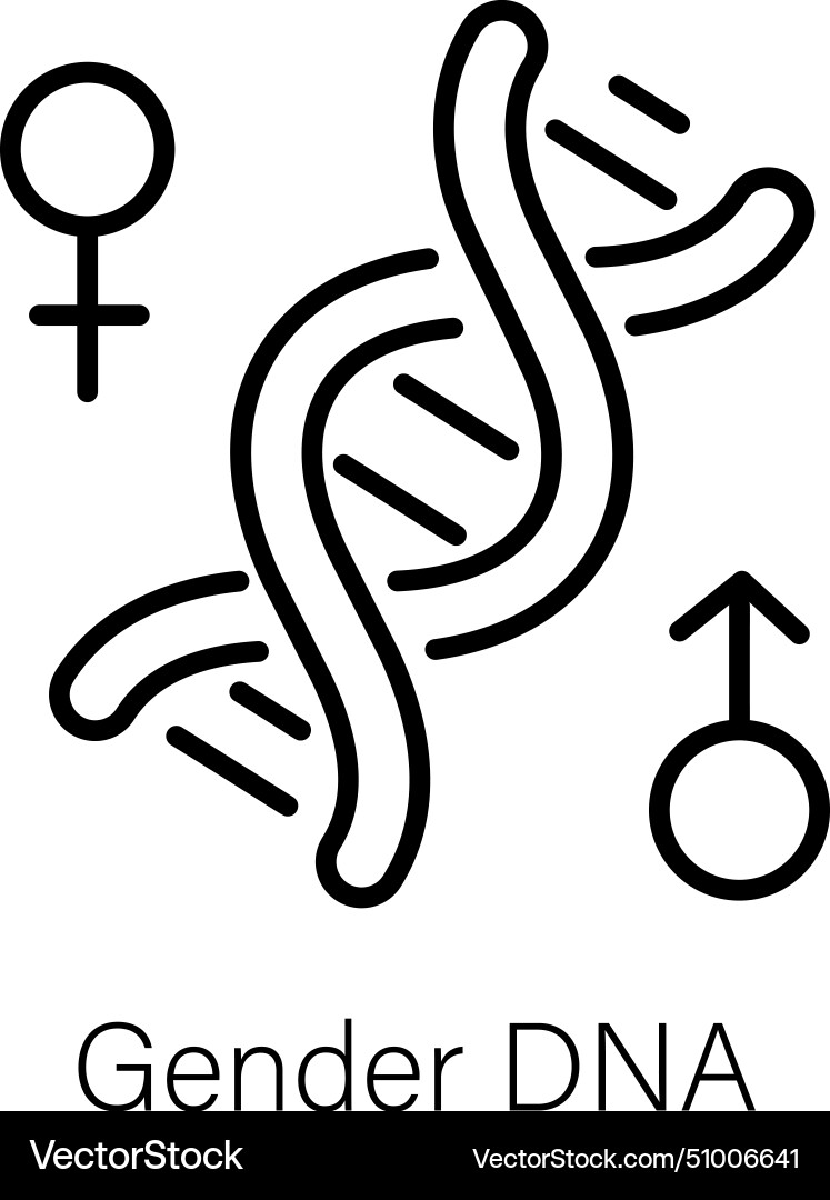 Gender dna Royalty Free Vector Image - VectorStock