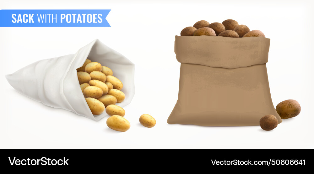 Potato sack realistic composition Royalty Free Vector Image