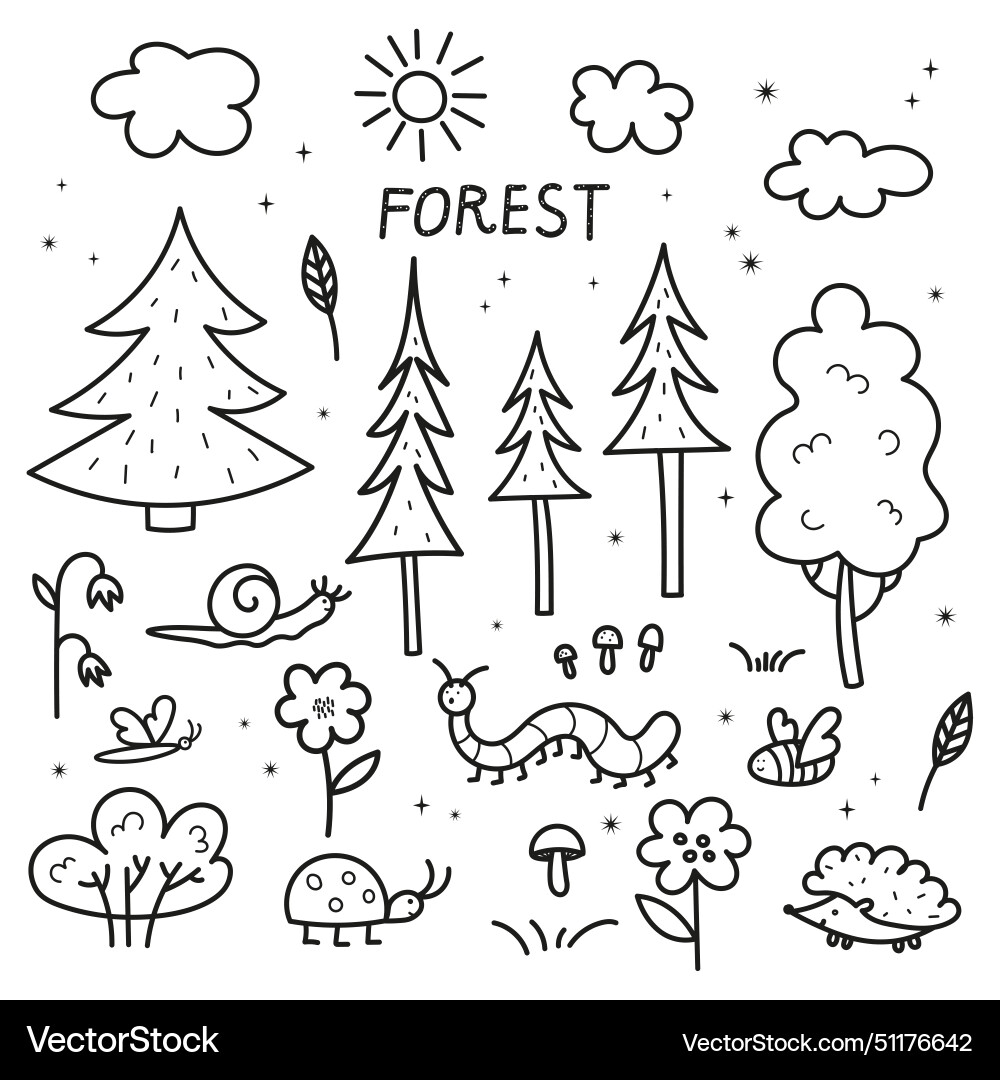 Forest doodle hand drawn pine trees coniferous Vector Image