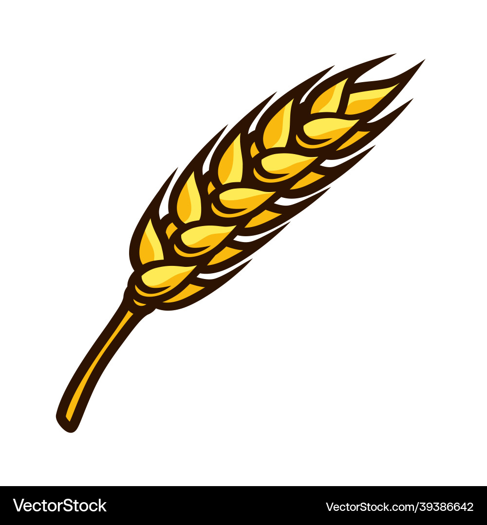 Fresh ripe wheat ear autumn Royalty Free Vector Image
