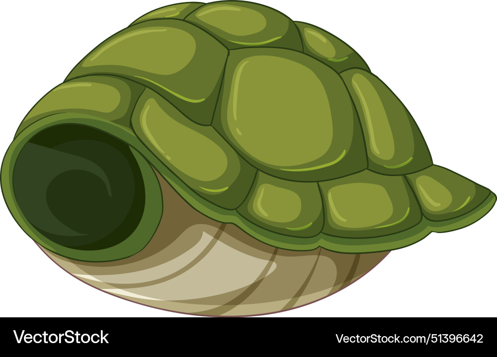 Green turtle shell with detailed texture Vector Image