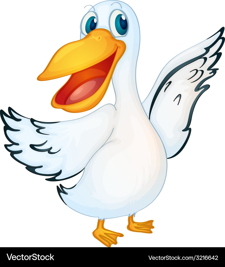 Pelican Royalty Free Vector Image - VectorStock