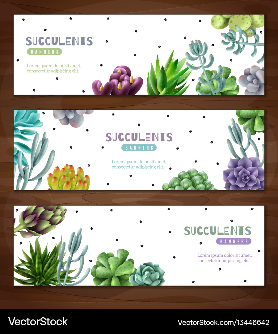 Succulent plants horizontal banners Royalty Free Vector