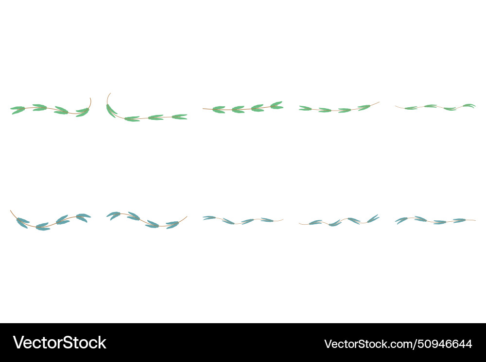 Flower vine icon set botanical decoration Vector Image