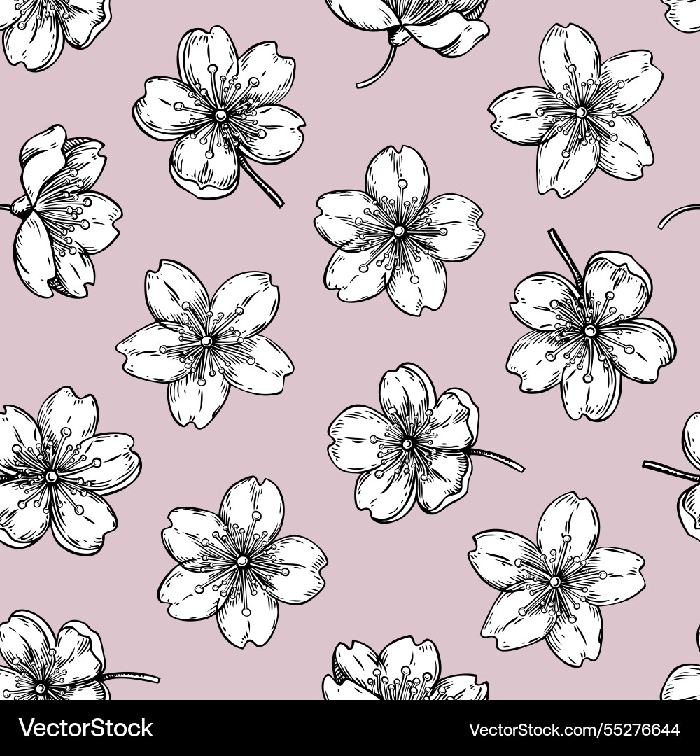 Sakura flowers pattern cherry blossom background Vector Image