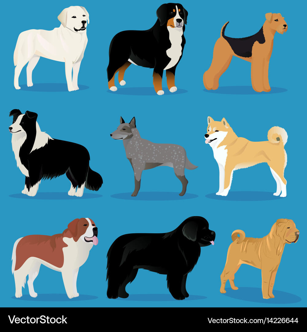 Set of dogs Royalty Free Vector Image - VectorStock