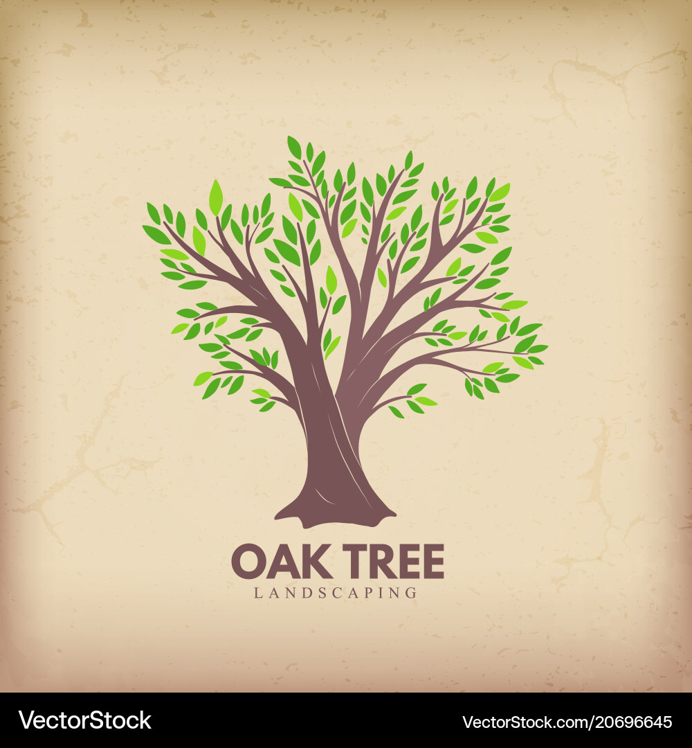 Elegant Oak Tree Silhouette Royalty Free Vector Image