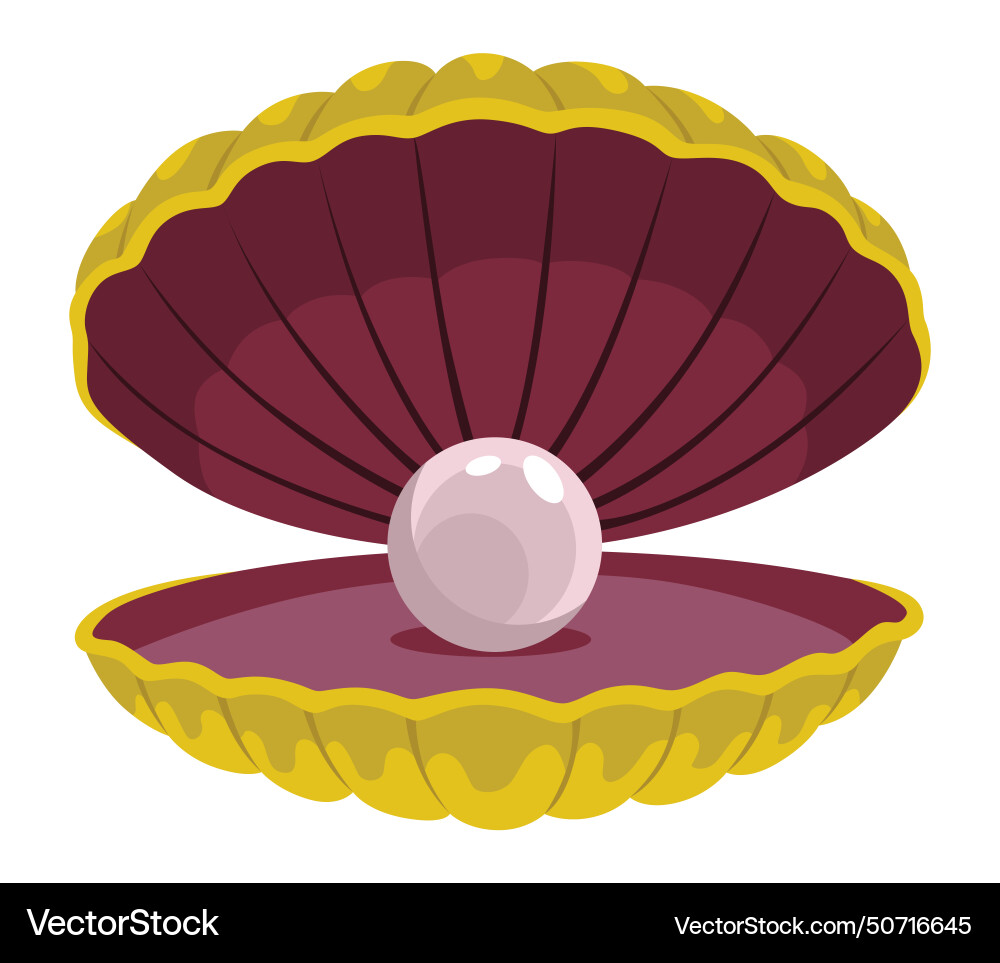 Pearl in seashell open seashels scallop Royalty Free Vector