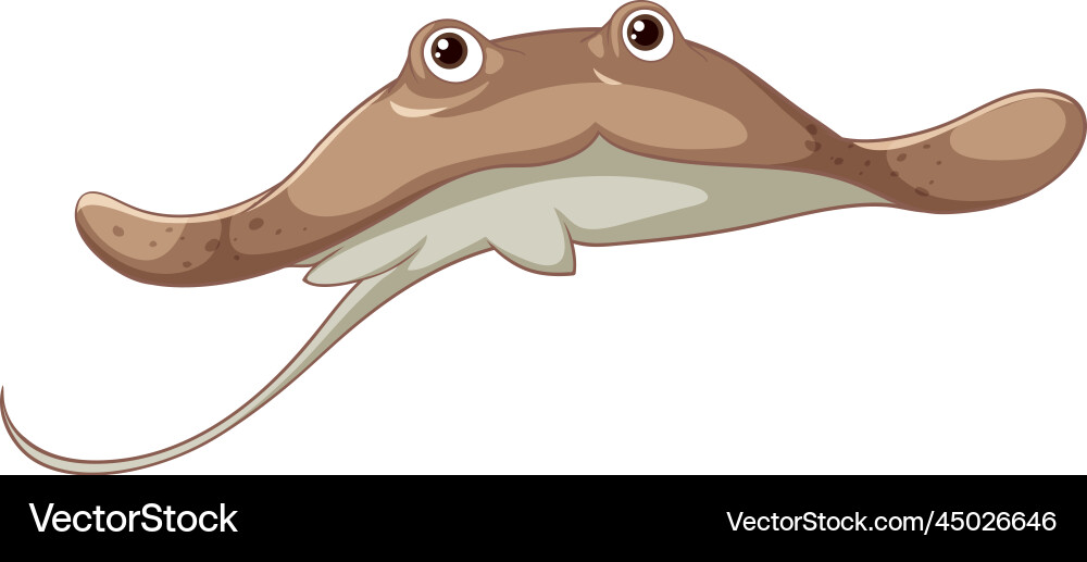 Atlantic stingray isolated on white background Vector Image