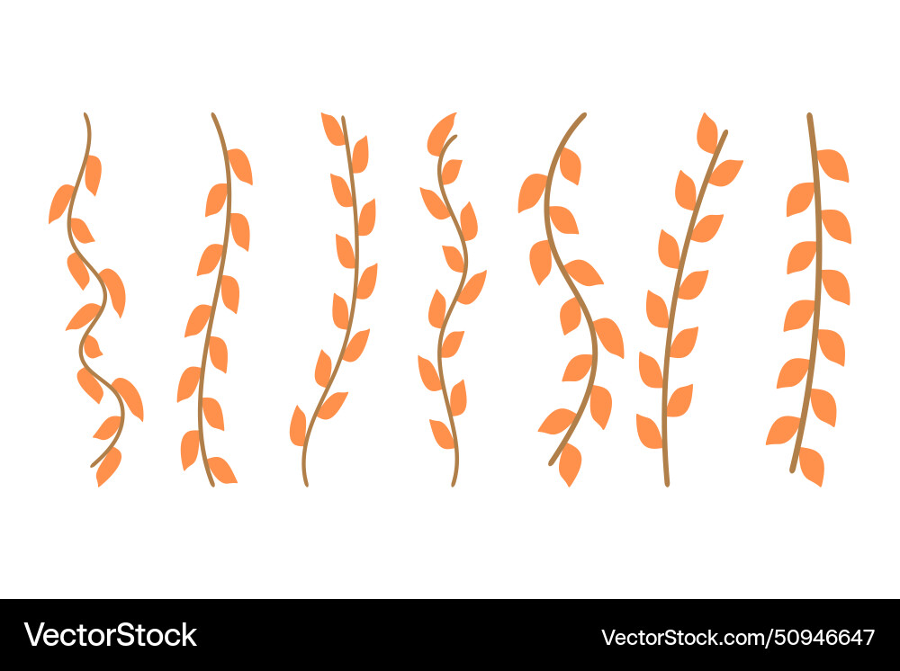 Flower vine icon set botanical decoration Vector Image