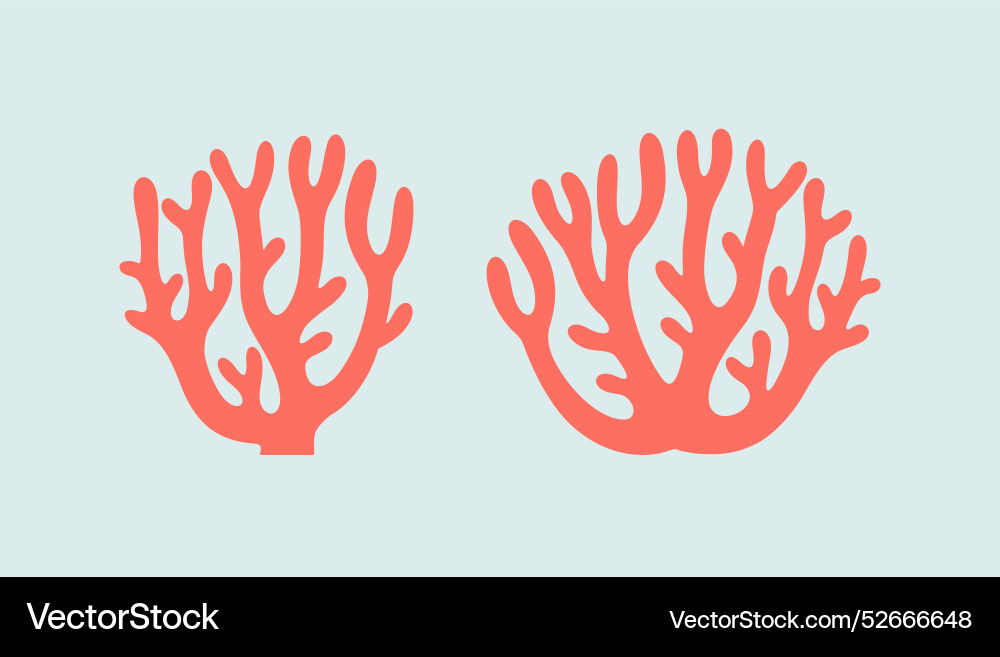 Coral Royalty Free Vector Image - VectorStock