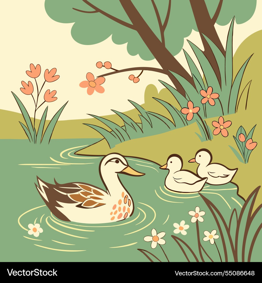 Ducks in spring pond Royalty Free Vector Image