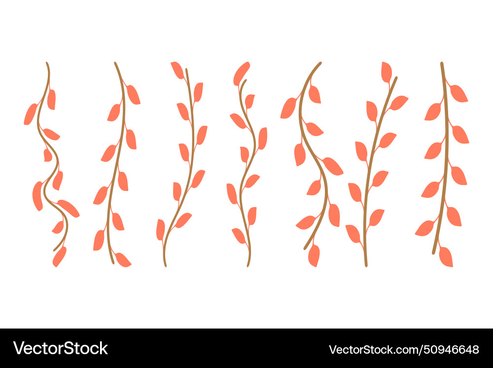 Flower vine icon set botanical decoration Vector Image