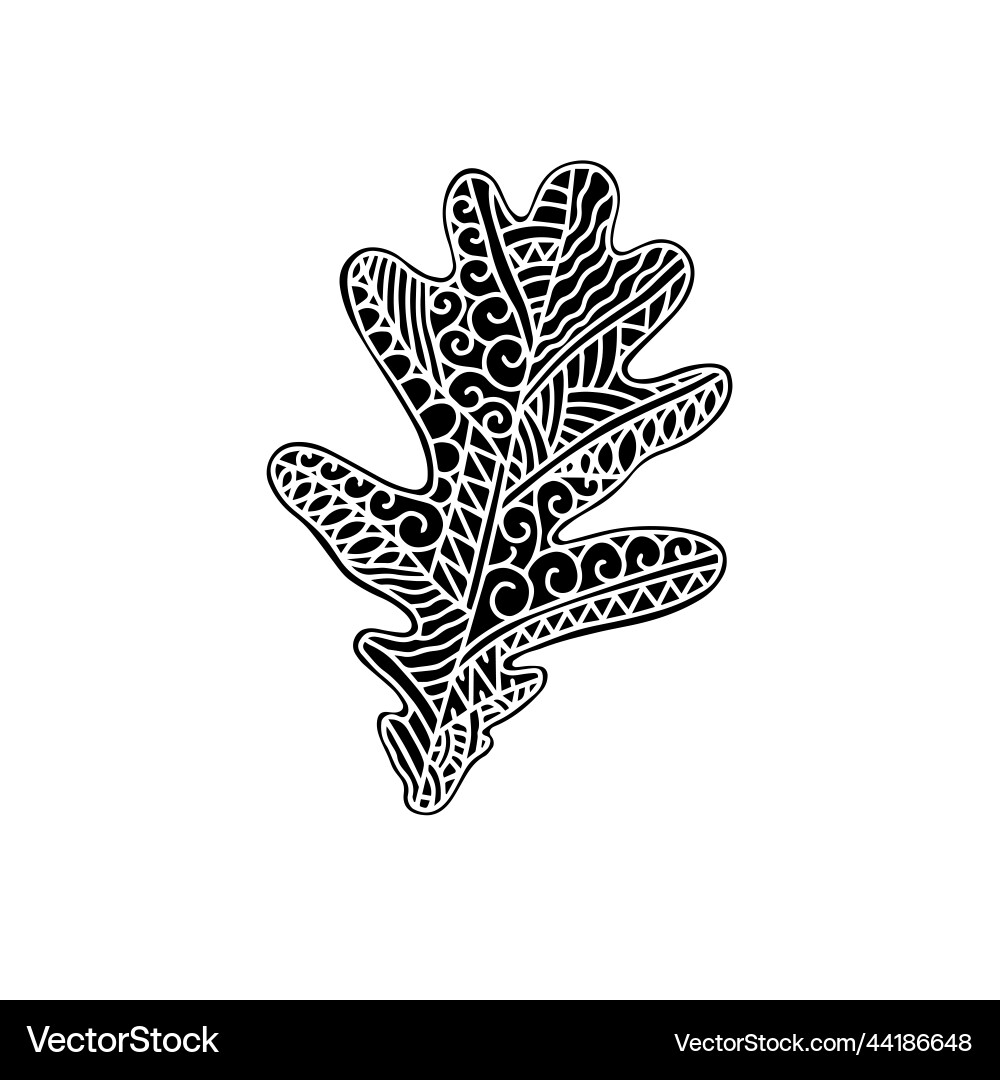 Oak leaf 7 Royalty Free Vector Image - VectorStock