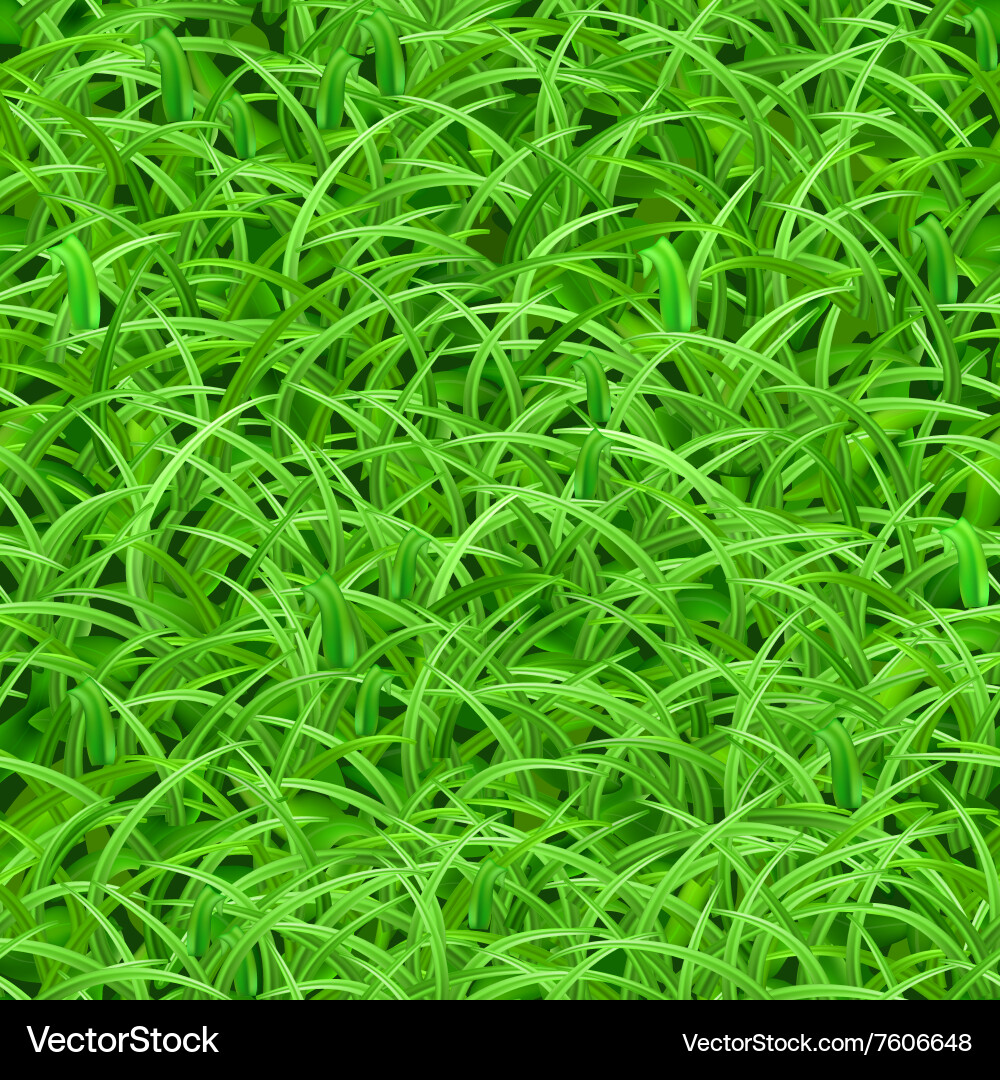 Seamless pattern of green grass Royalty Free Vector Image
