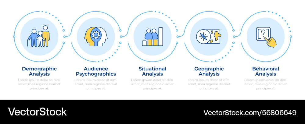 Audience Analysis Infographic 5 Steps Royalty Free Vector