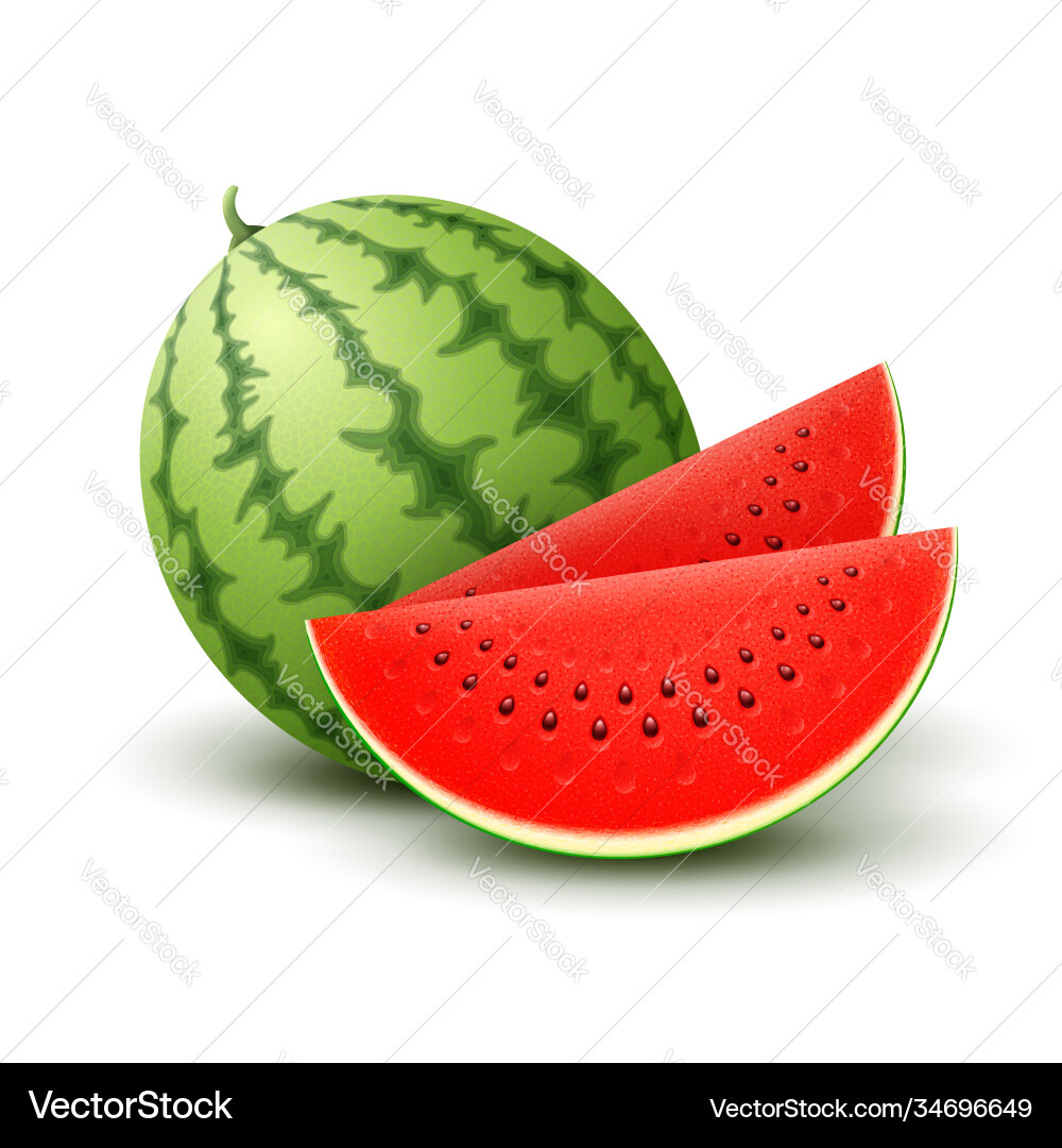 Realistic watermelon Royalty Free Vector Image