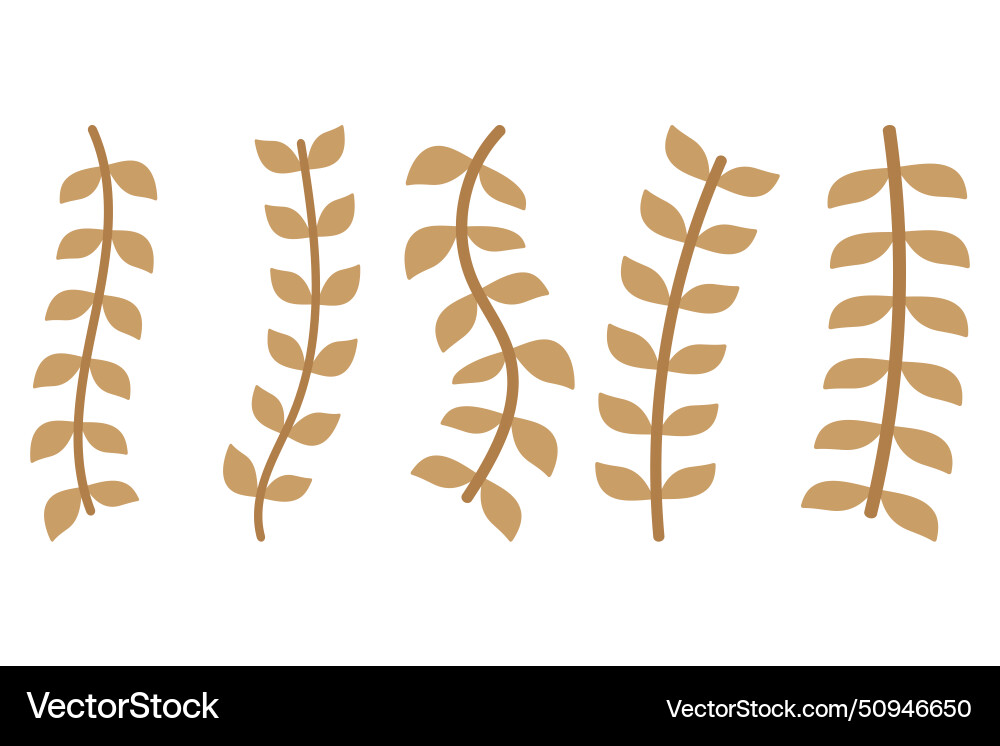 Flower vine icon set botanical decoration Vector Image