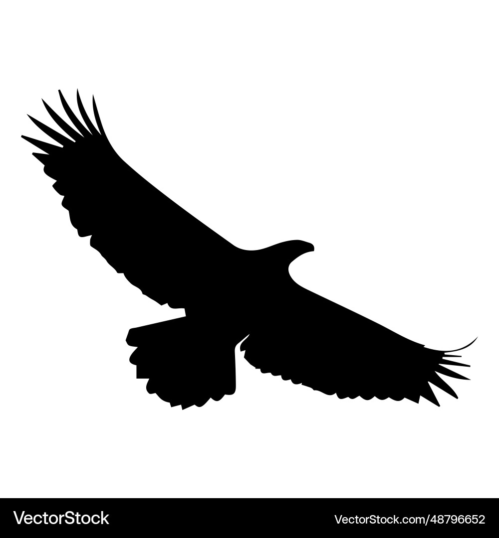 Eagle in sky silhouette Royalty Free Vector Image