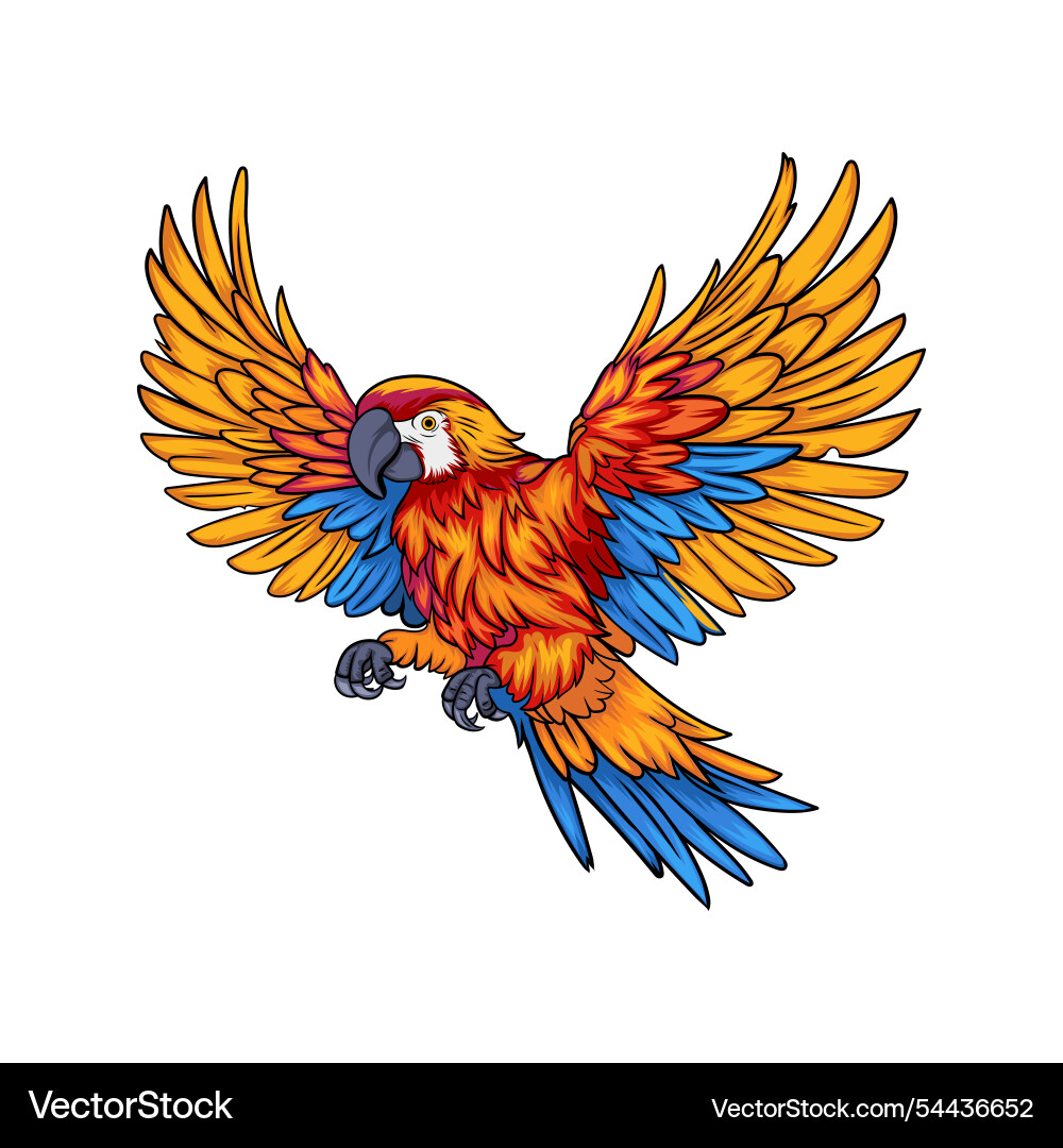 Parrot bird ara flying Royalty Free Vector Image