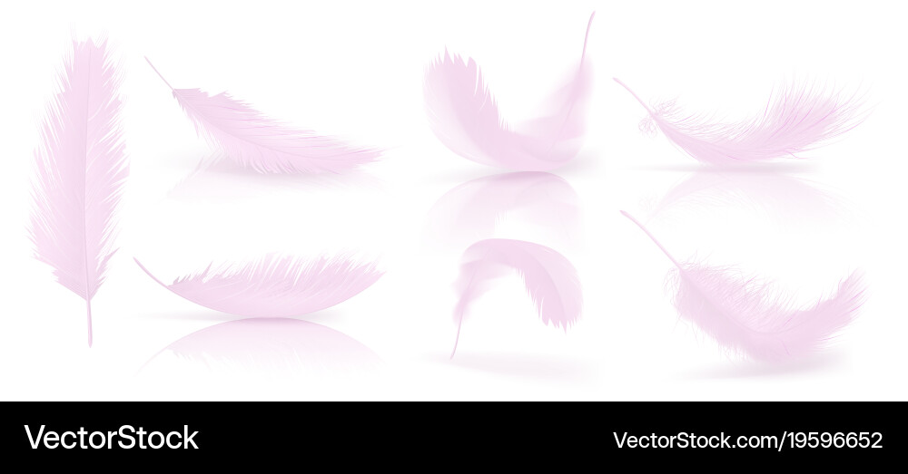 Realistic 3d set of pink bird feathers Royalty Free Vector