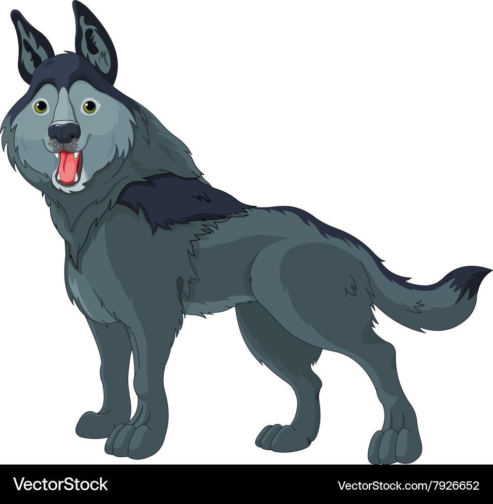 Sly wolf Royalty Free Vector Image - VectorStock