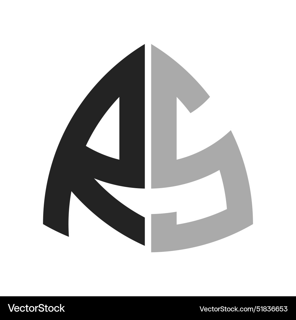 Modern creative rs logo design letter icon Vector Image