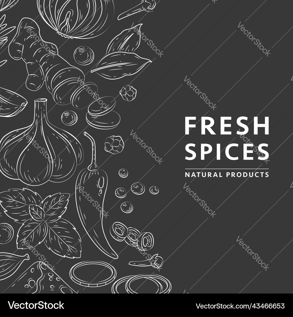 Spices and herbs banner Royalty Free Vector Image