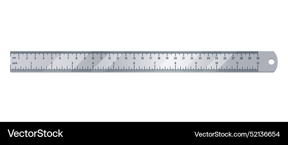 Ruler for precision measurements featuring metric Vector Image