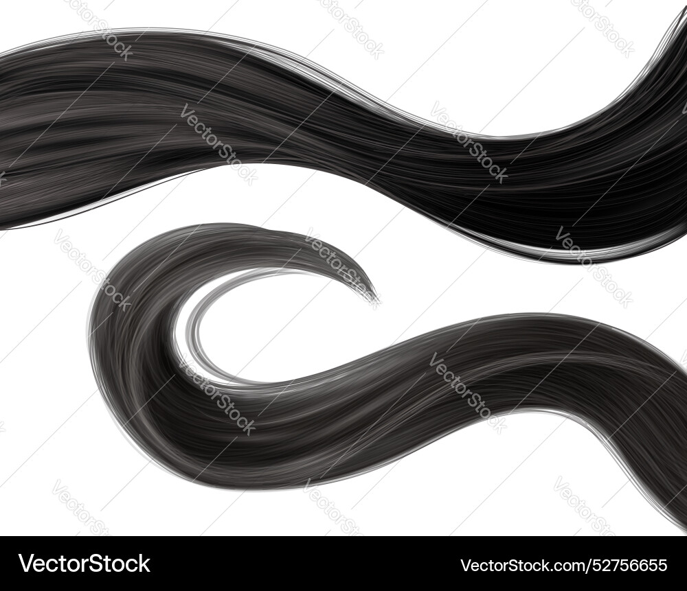 Black hair strands set isolated on white Vector Image