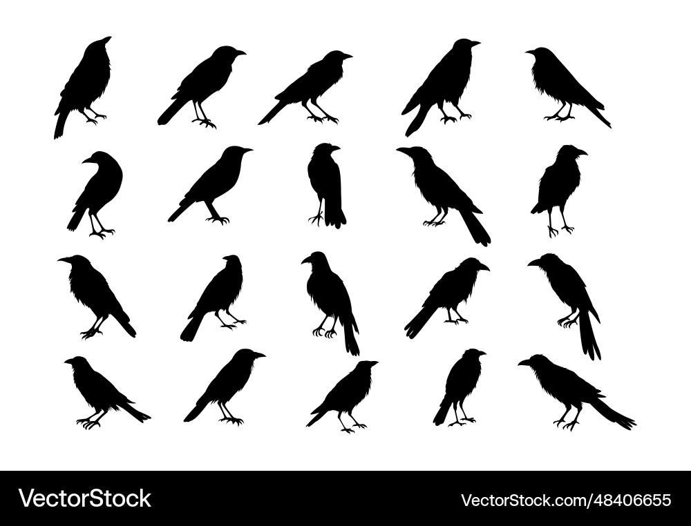 Crows set hand drawn silhouette Royalty Free Vector Image