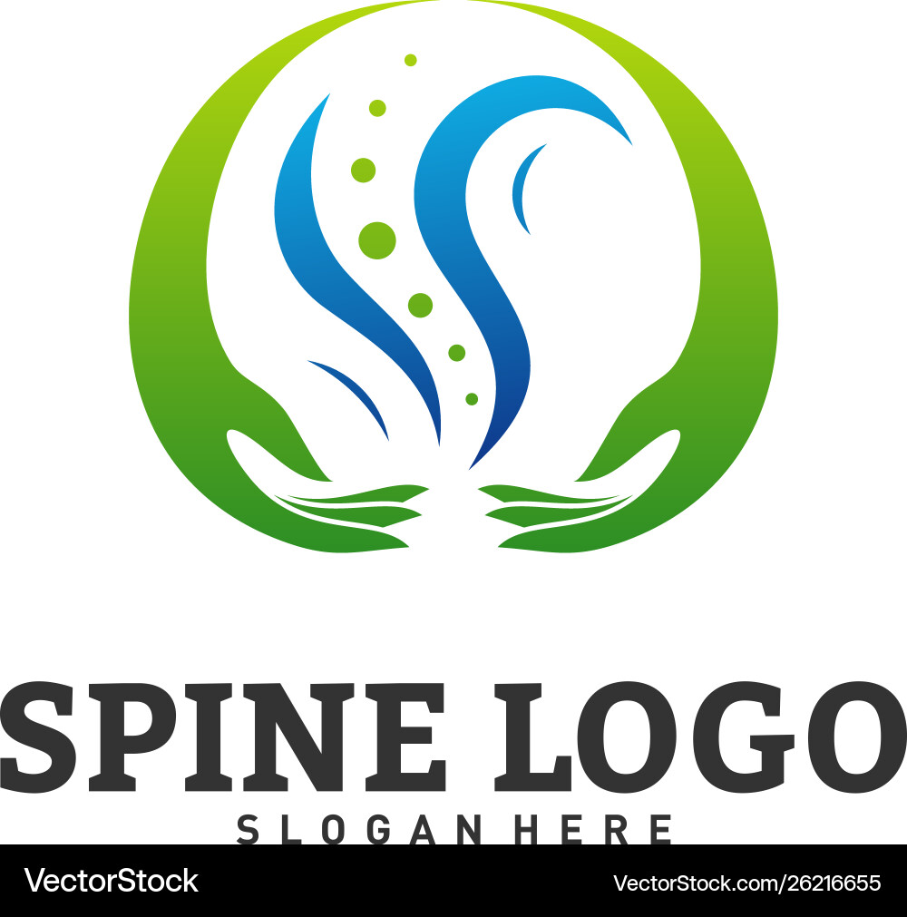 Spine care logo design concept chiropractic Vector Image