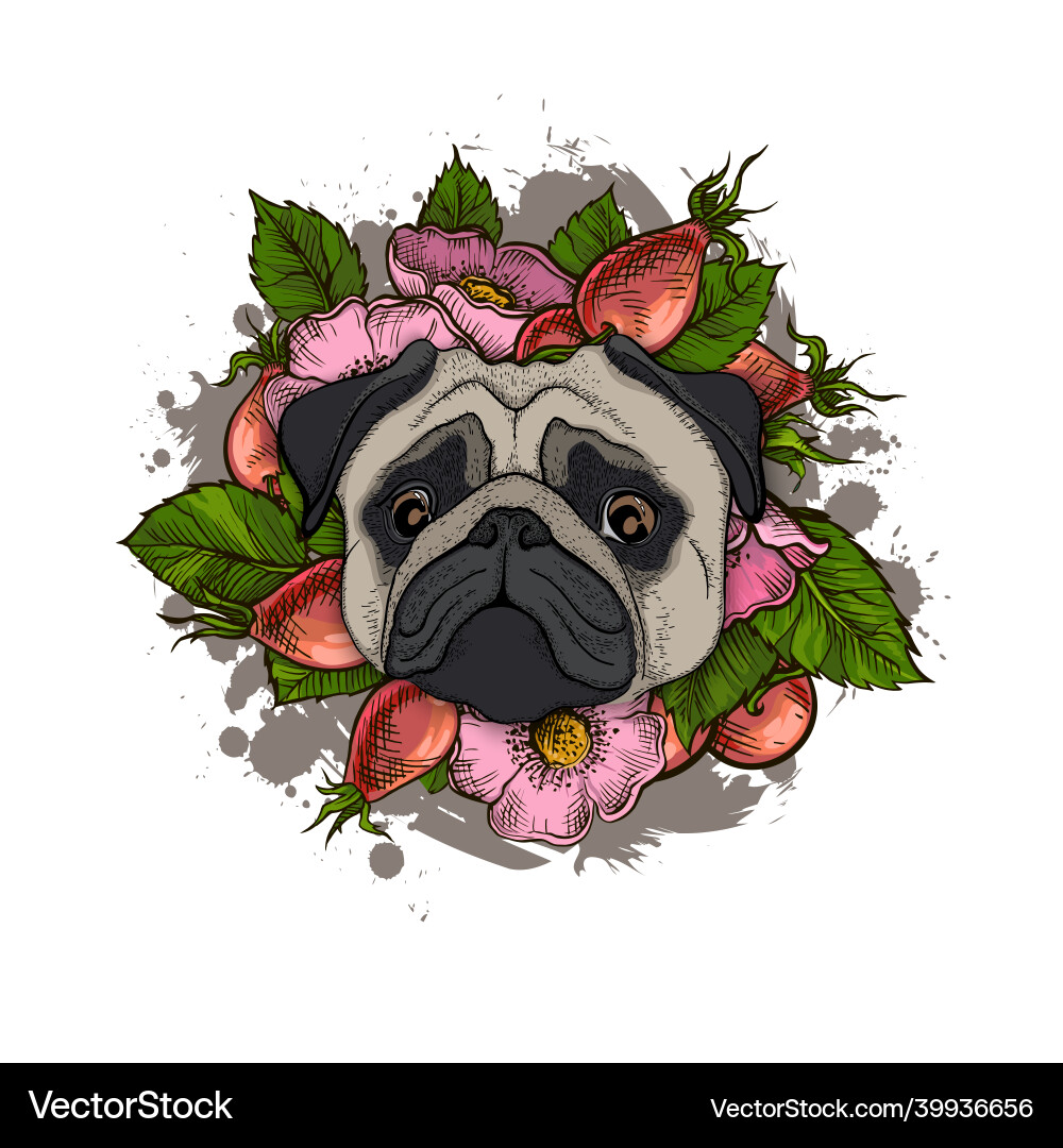 Cute pug Royalty Free Vector Image - VectorStock