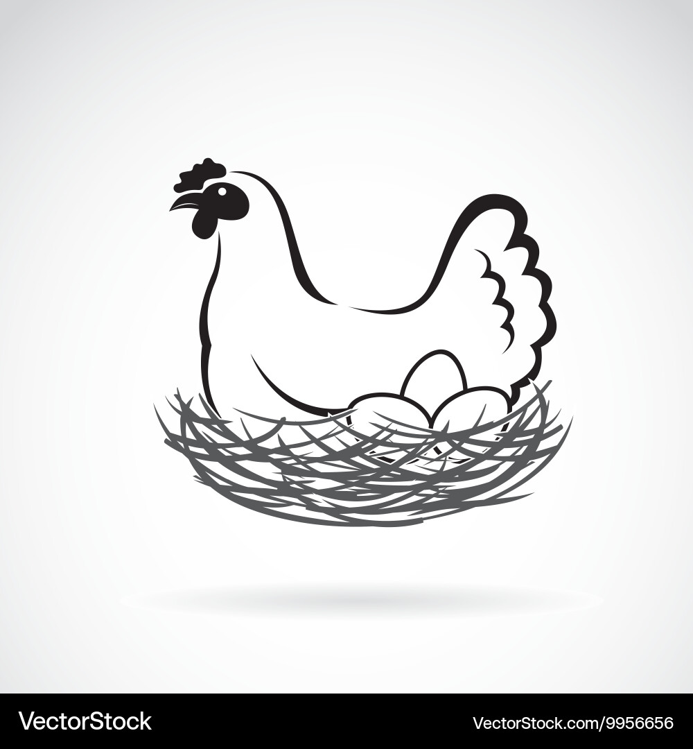 Hen Laying Eggs in Nest Royalty Free Vector Image