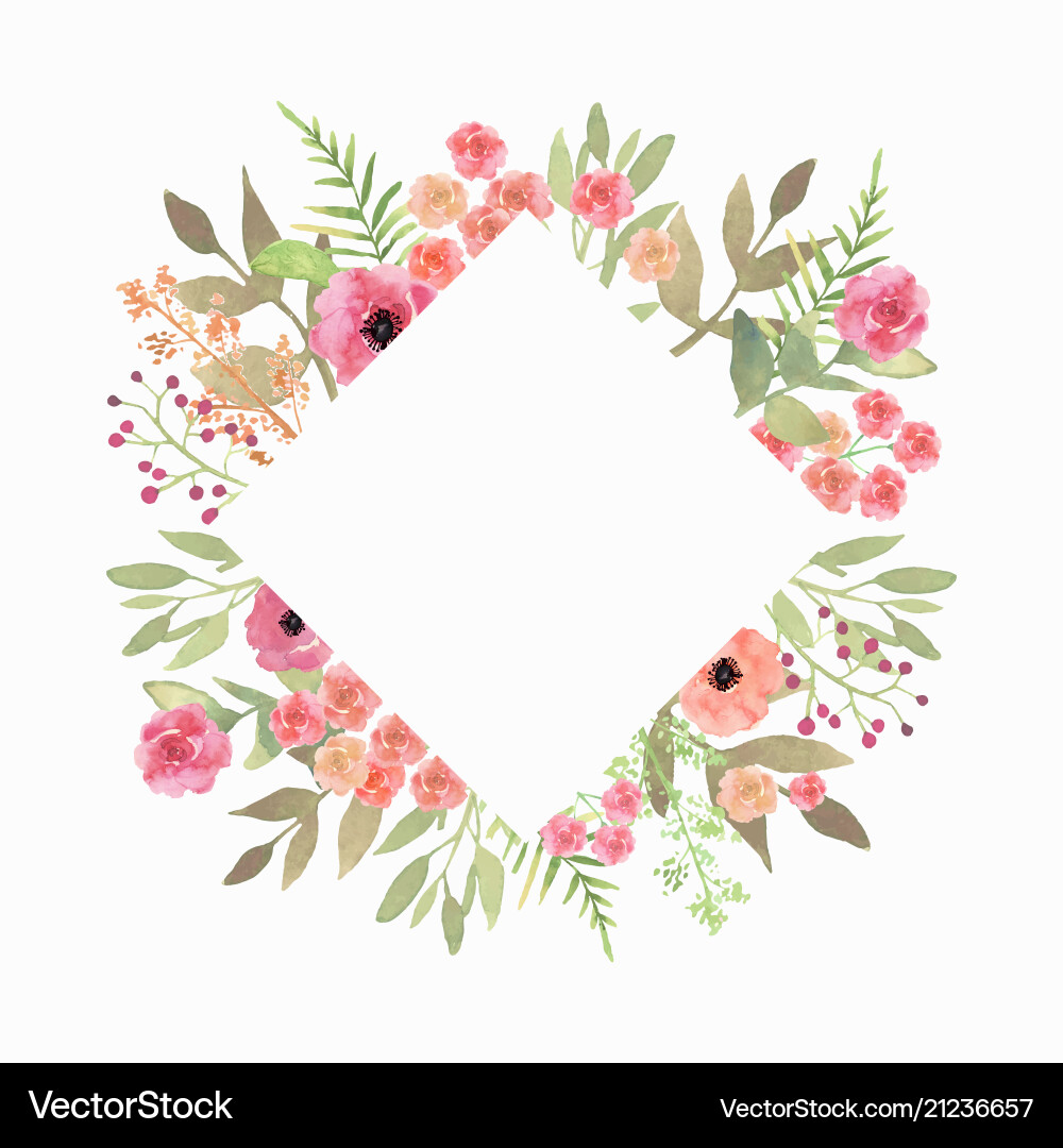 Floral Rhombus Frame - Roses & White Vector Image