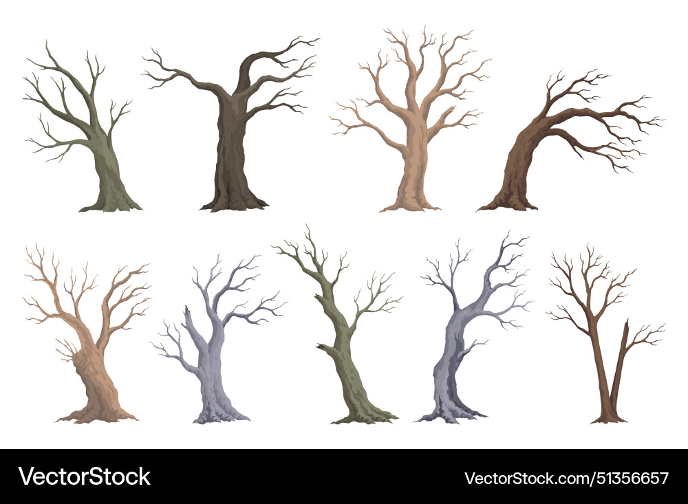 Old dead tree set hand draw leafless trunks Vector Image