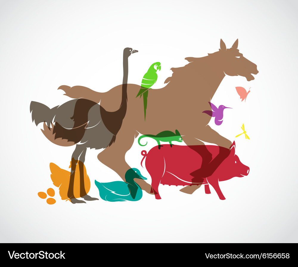 Animal group Royalty Free Vector Image - VectorStock