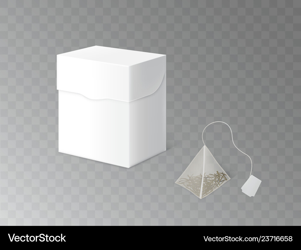 Herbal tea packaging 3d realistic mockup Vector Image